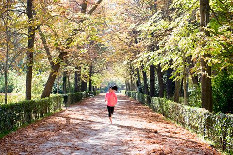 가 스포츠를 실행 하 고 나무와 노란 잎 도시 공원에 야외 운동 조깅에 훈련에서 젊은 매력과 행복 주자 여자 건강한 생활방식에 대한 스톡 사진 및 기타 이미지 Istock