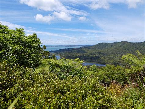 Roadtripping The Waitakere Ranges And Piha Beach We12travel