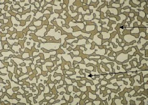 Microstructure Testing Services At ₹ 650sample In Ahmedabad Id 12755296573