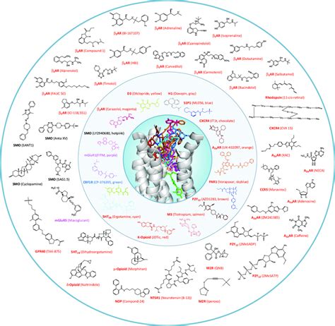 Similarity And Diversity Of Ligand Binding Poses In G Protein Coupled