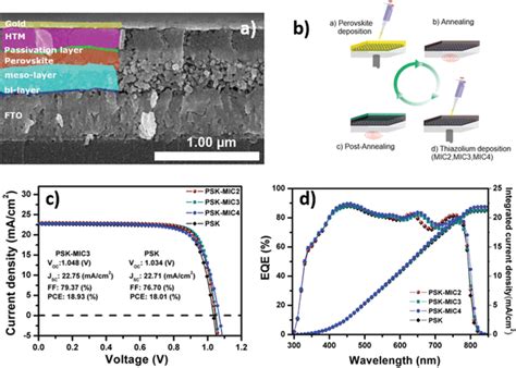 A Cross‐section Sem Image B Schematic Process For Deposition Of