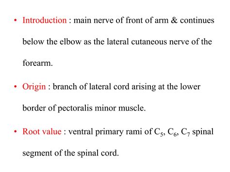 Axillary Lns And Musculocut Nerve These Lymph Nodes Present At Outer