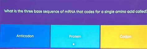 Solved What Is The Three Base Sequence Of Mrna That Codes For A Single Amino Acid Called