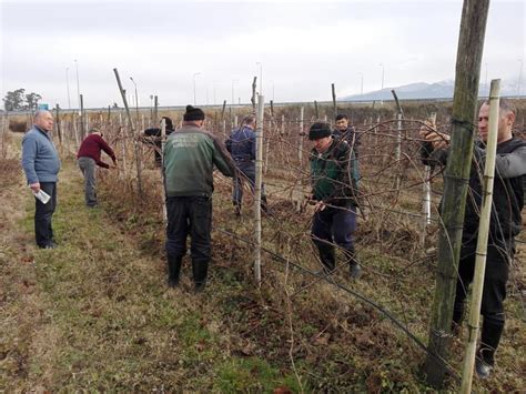 აჭარის ა რ აგროსერვის ცენტრი Agroservice Center