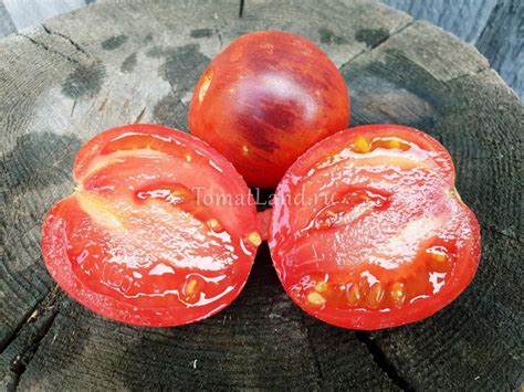 Томат Темный тигр: описание сорта, отзывы, фото, урожайность | tomatland.ru