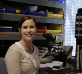 Petrography And Archaeology Microscopic Fun With Pottery