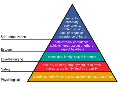 Maslow S Hierarchy Of Needs Indicates That Sex Is Just As Fundamental A Need As Food Water And