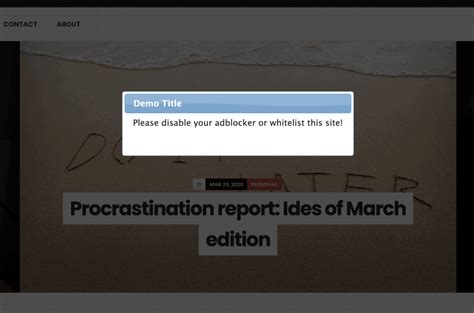 Best Anti Adblock Plugins For Wordpress [2020] Adventurewp