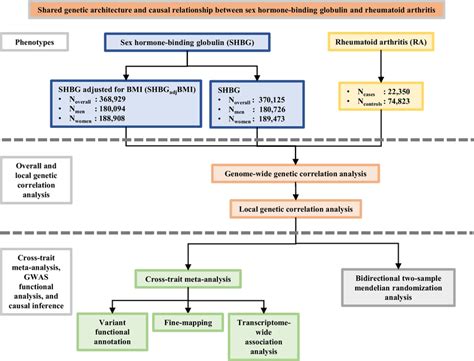 Flowchart Of The Overall Study Design We Investigated The Shared Flowchart Of The Overall Study Design We Investigated The Shared