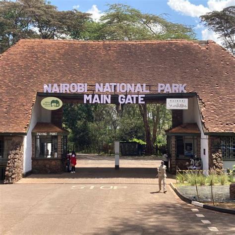 Best Nairobi Safaris For Adventures And Memories