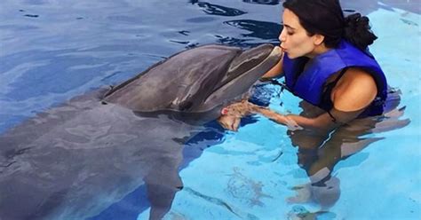 Dolphin Sex Lives Are Being Ruined By Nosy Tourists Worrying Study Reveals Mirror Online