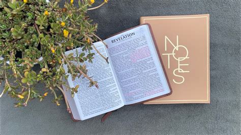 Chapter 8 Part 1 Youtube