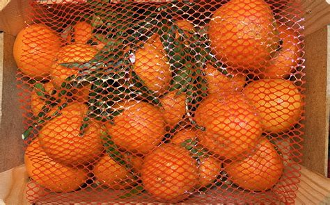 Clementine With Leaf Small Box Langridge Organic Products Ltd
