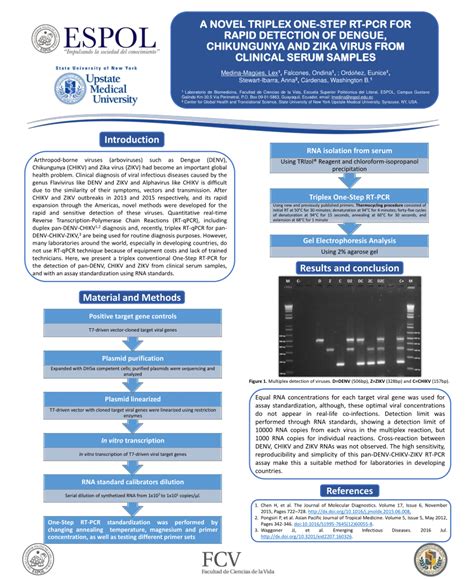 Pdf A Novel Triplex One Step Rt Pcr For Rapid Detection Of Dengue Chikungunya And Zika Virus