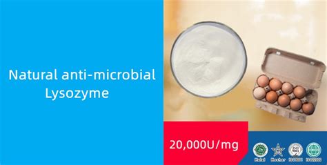 Application Of Lysozyme In Food Industry