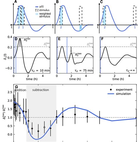 Model Prediction And Experimental Observations Of Summation And