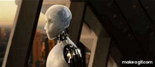 Irobot No  Irobot No Discover And Share S