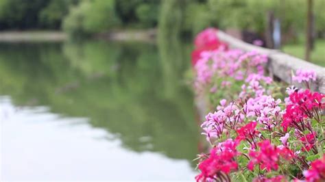 منتجع لابوتا Youtube