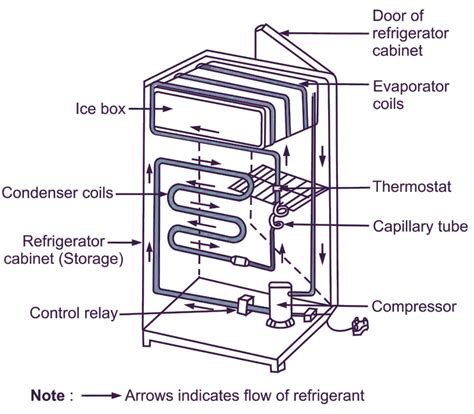 What Is Domestic Refrigerator Working Construction And Function