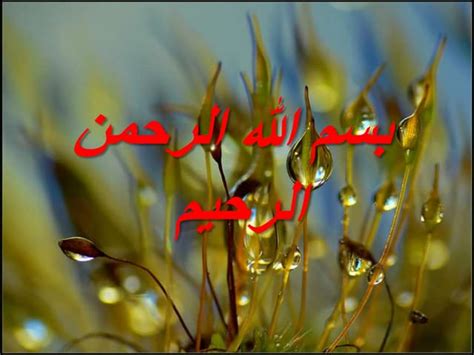 Complex Pelvic Trauma 1 Pptx