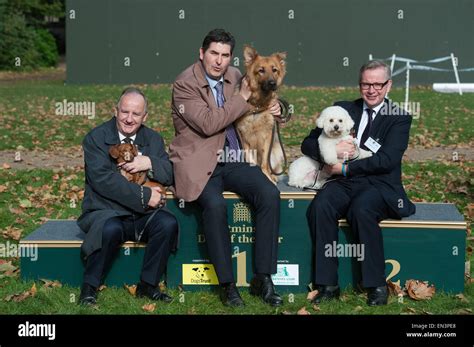 Rob Flello Mp Immagini E Fotografie Stock Ad Alta Risoluzione Alamy