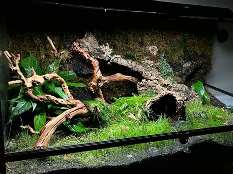 Custom Ball Python Tank