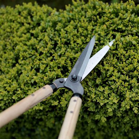 Garden Shears Long Blade At Gabriella Raiwala Blog