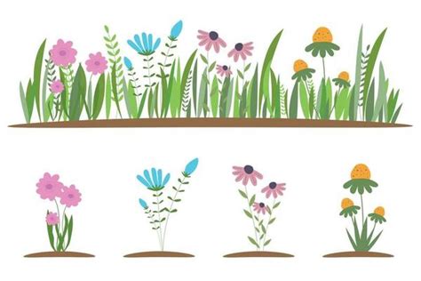 Flower Life Cycle Vector Art Icons And Graphics For Free Download