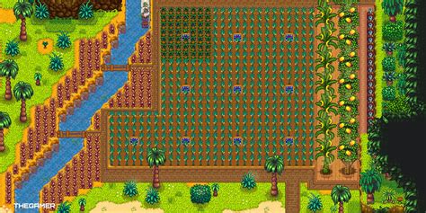 Stardew Valley Crop Order Steam Community Guide In Depth Crop