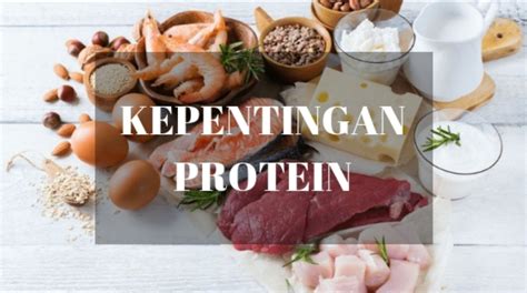 Protin Lengkap Untuk Kesihatan Anda Esp Energizing Soy Protein