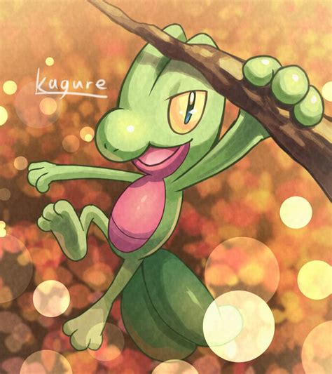 Treecko Pokemon Drawn By Kagure Karaguren Danbooru Treecko Pokemon Drawn By Kagure Karaguren Danbooru