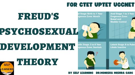 Freuds Stages Of Human Development Psychosexual Stages 42 Off