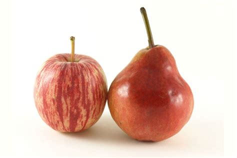 Recipes For Pome Fruits Cdkitchen