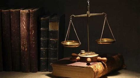 Difference Between Section And Clause In Law Mindstick Qanda