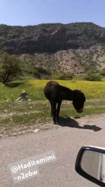 طبیعت بکر خوزستان شهرکردتفریح رانندگی حرفه اییکلزاسدکارون دریاچه سد کارون Youtube