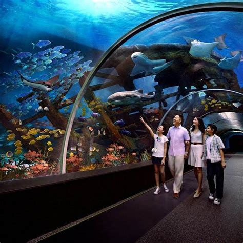 湖州有哪些适合亲子游玩的地方2025湖州榜单景点住宿美食购物游玩排行榜【去哪儿攻略】