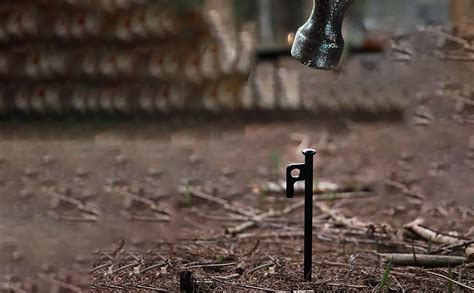 Amazon Com Tree Stake Kits Tree Stakes And Supports Kits For Hurricane Protection Bad