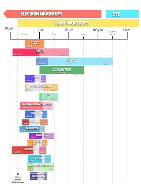 Regenerative Soil Microscopy Book Matt Powers Posted On The Topic