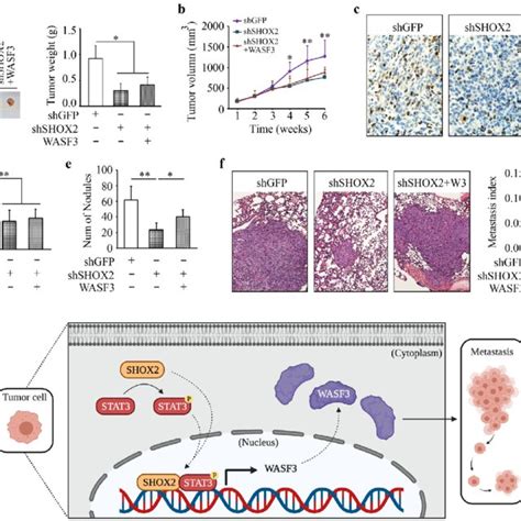 Yong Teng Professor Associate Phd And Msc Emory University Ga Eu Department Of