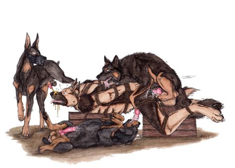 Rule 34 Anal Anal Sex Animal Genitalia Animal Penis Anthro Anthro On