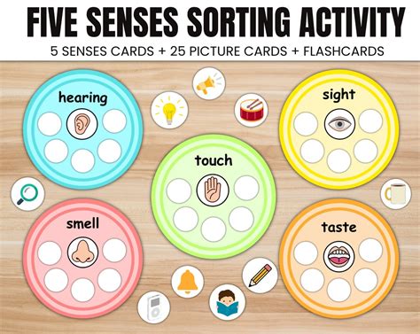 Five Senses Sorting Activity Printable 5 Senses Sorting Homeschool Resource Busy Bags