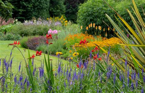 Mature Garden Influenced By The Philosophy Of Naturalistic Planting
