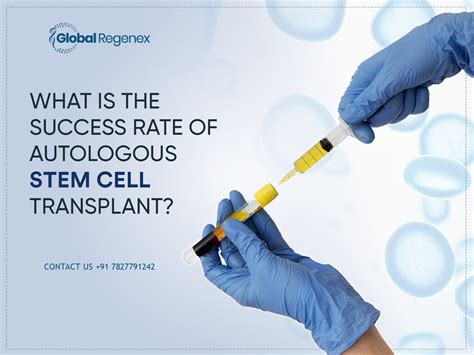 What Is The Success Rate Of Autologous Stem Cell Transplant
