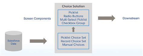 Building Advanced Flows With Choices Loops And New Apex Defined Types