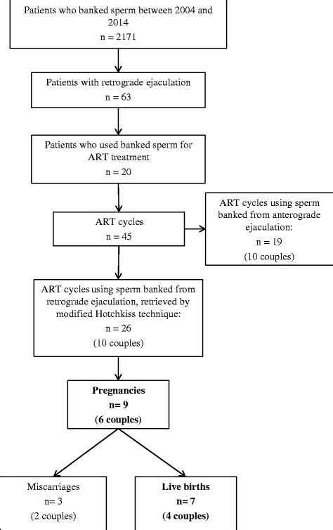 Flow Chart Summarizing The Characteristics And The ART Results Of Download Scientific Diagram