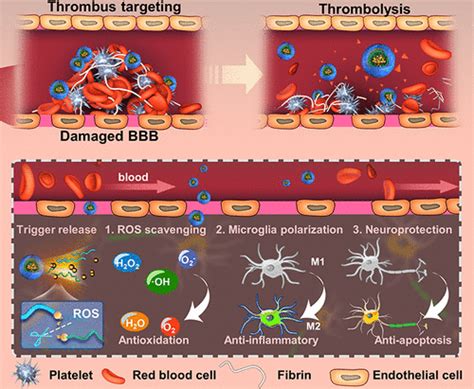 An Ultrasmall Cucu2o Nanoparticle Based Diselenide Bridged