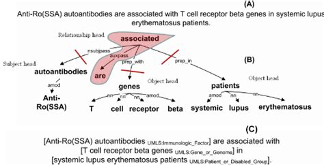 A Sample Sentence B Dependency Parse Tree C Sentence Annotated