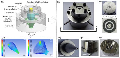 Figure 1 From Fabrication Of Double Layered Alginate Capsules Using Coaxial Nozzle Semantic