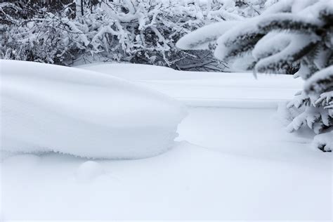 【一覧あり】雪の種類まとめ！名前・特徴を写真＆イラストでわかりやすく解説 くらひろ