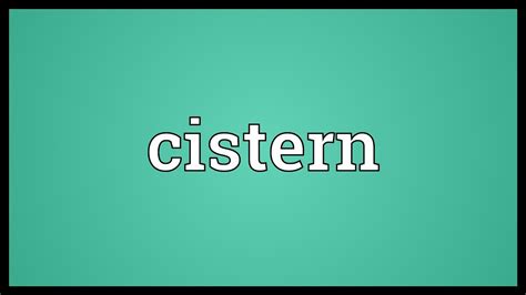 Cistern Definition 5 Key Facts You Need To Know Today